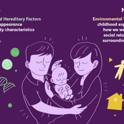 How the environment shapes the mind | Eduway